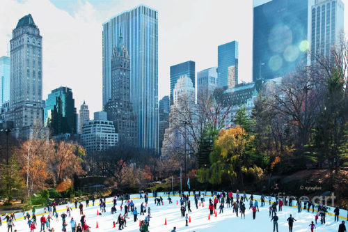 Top 10 Attractions In Central Park - Central Park